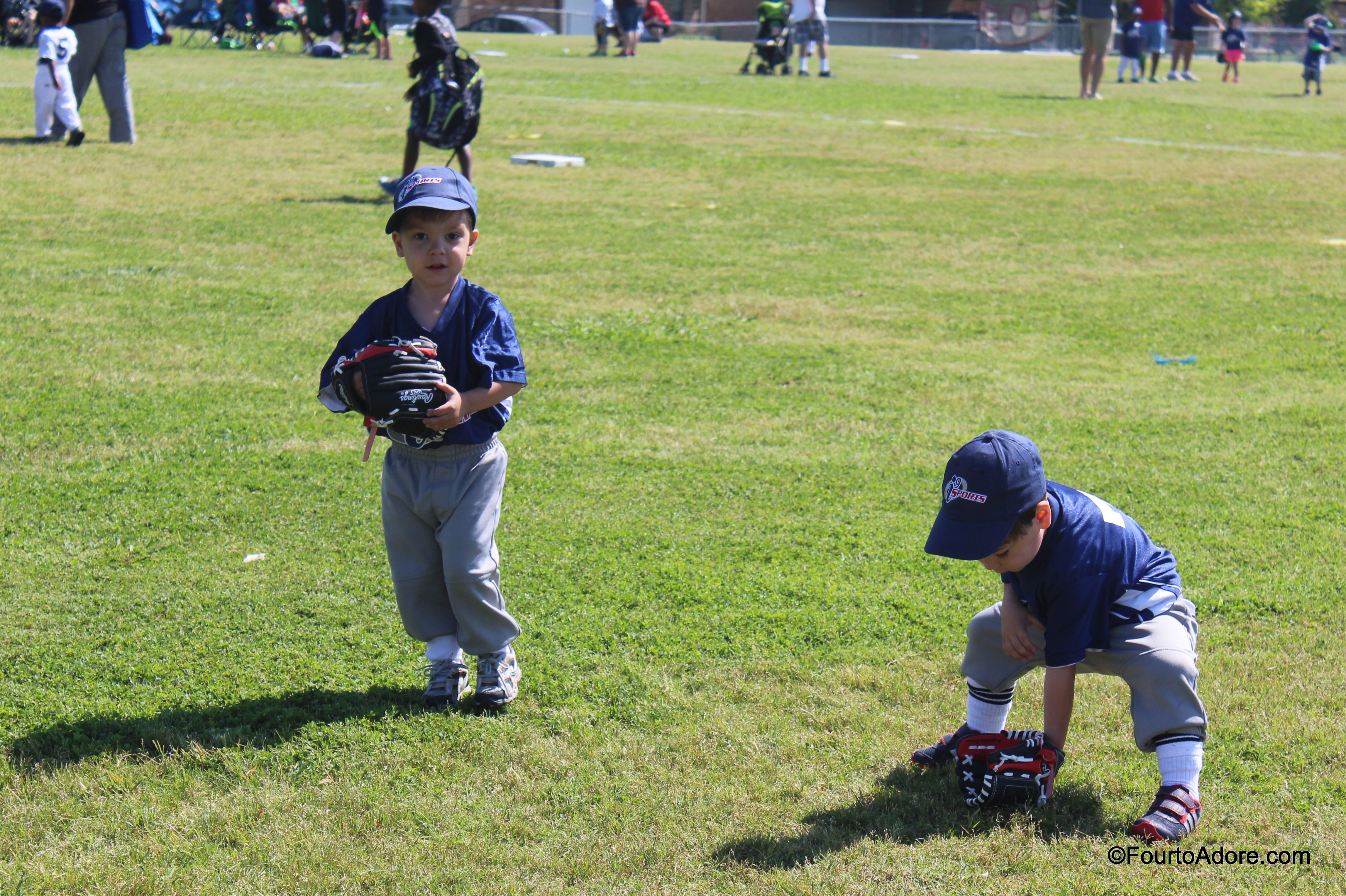 Tee Ball: Season One – Four to Adore